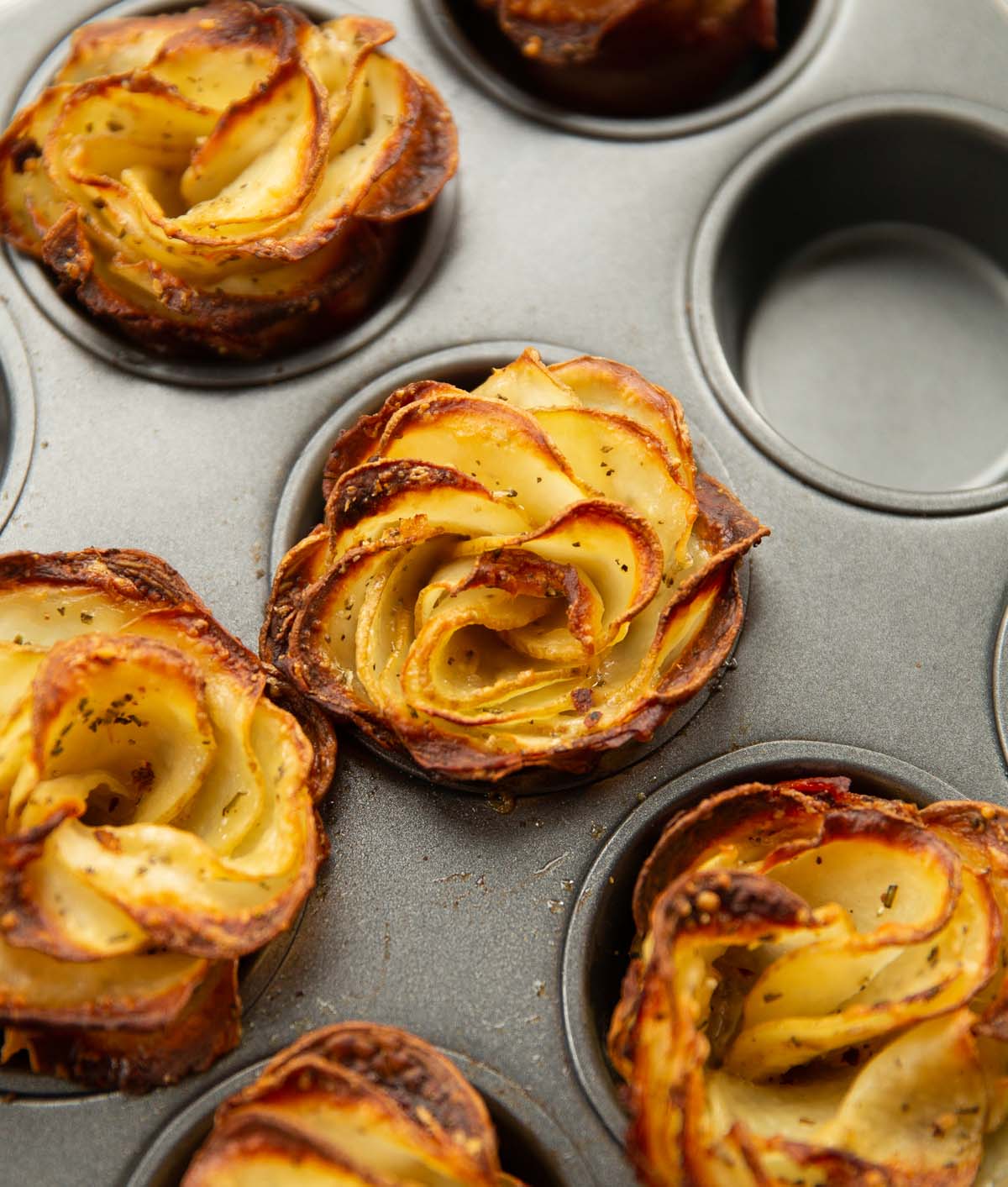 Potato Roses | Don't Go Bacon My Heart